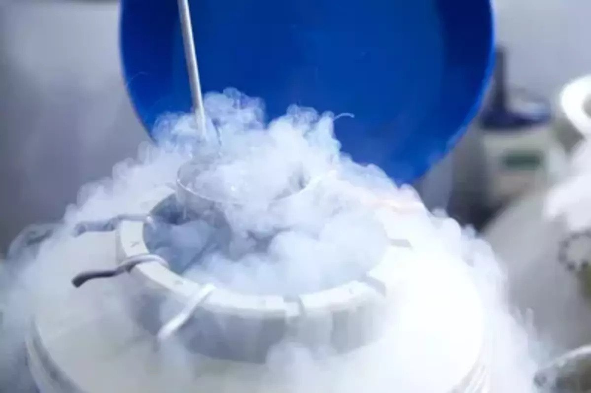 Mengenal Apa Itu Nitrogen Fungsi Unsur Sifat Manfaatnya Mengenal Apa Itu Nitrogen Fungsi Unsur Sifat Manfaatnya